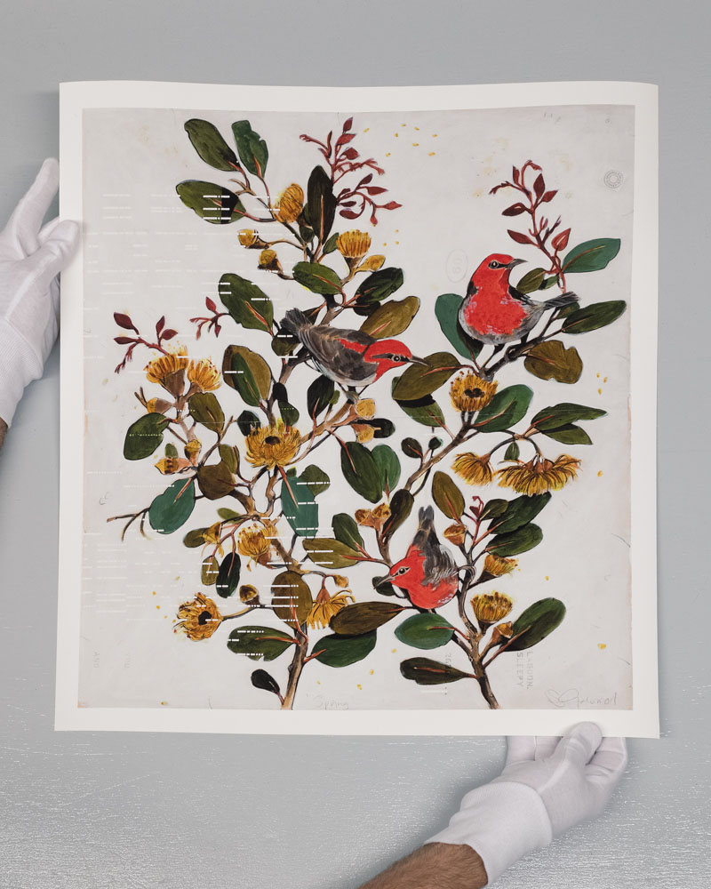 Fine Art Printing & Artwork Documentation - Bendigo | Melbourne